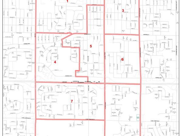 2025 Hamilton Ward 8 City Council By-Election – TPR Hamilton | Hamilton ...