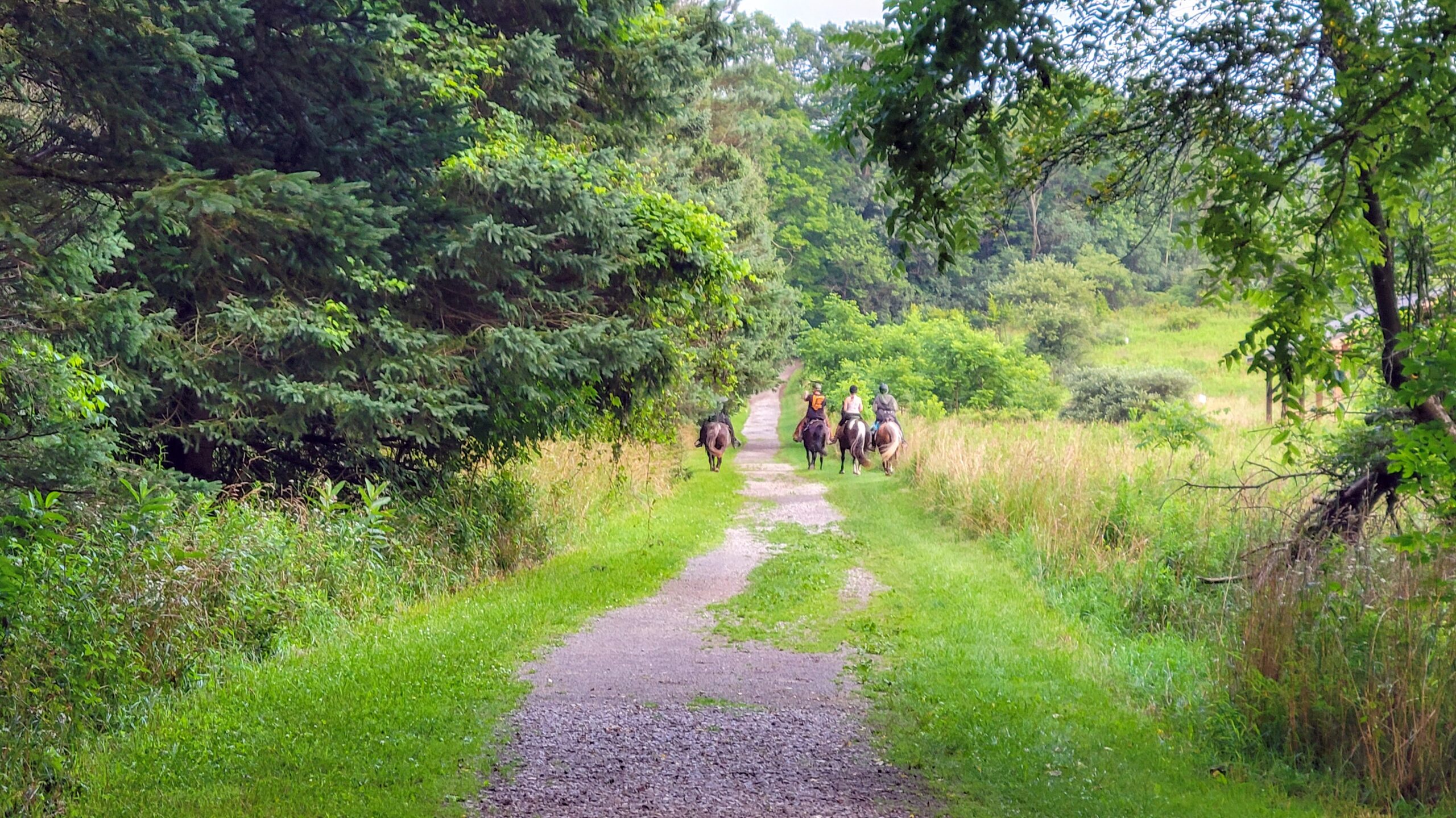 Hamilton Conservation Authority Records $5.4M Surplus for 2023 – TPR ...