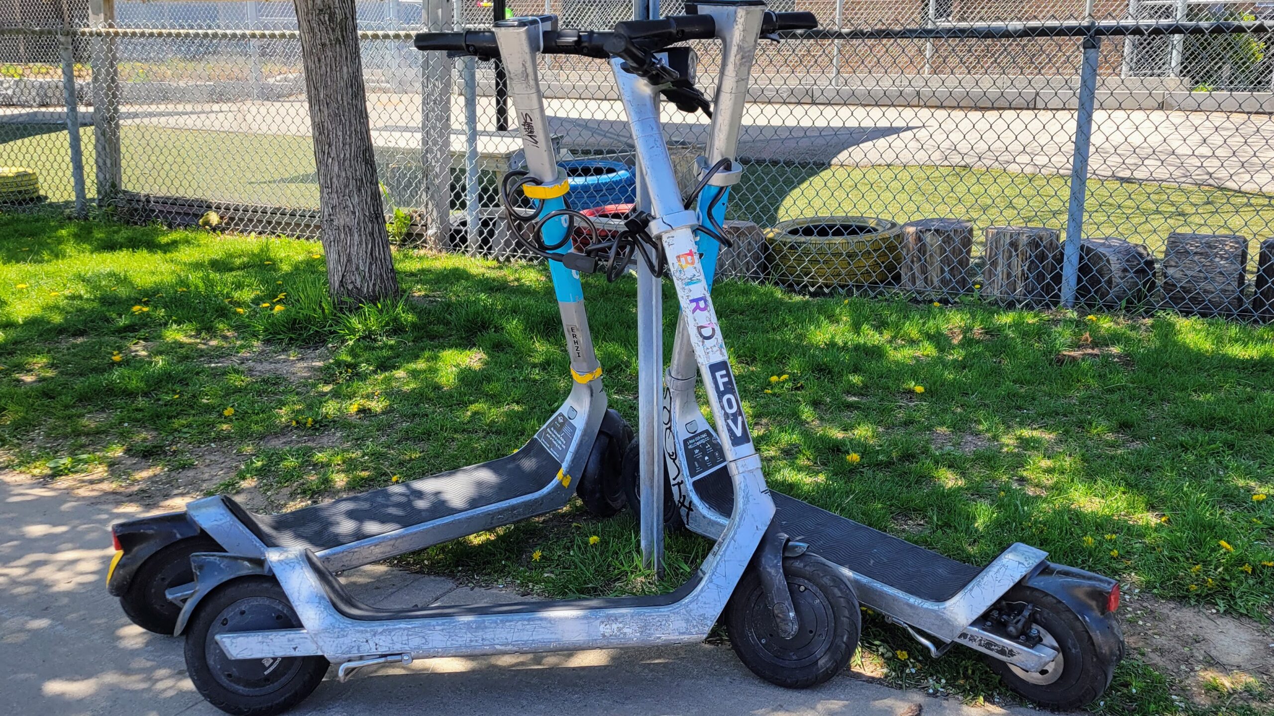 Hamilton Expands Bird E-Scooters on the Mountain between Escarpment and ...