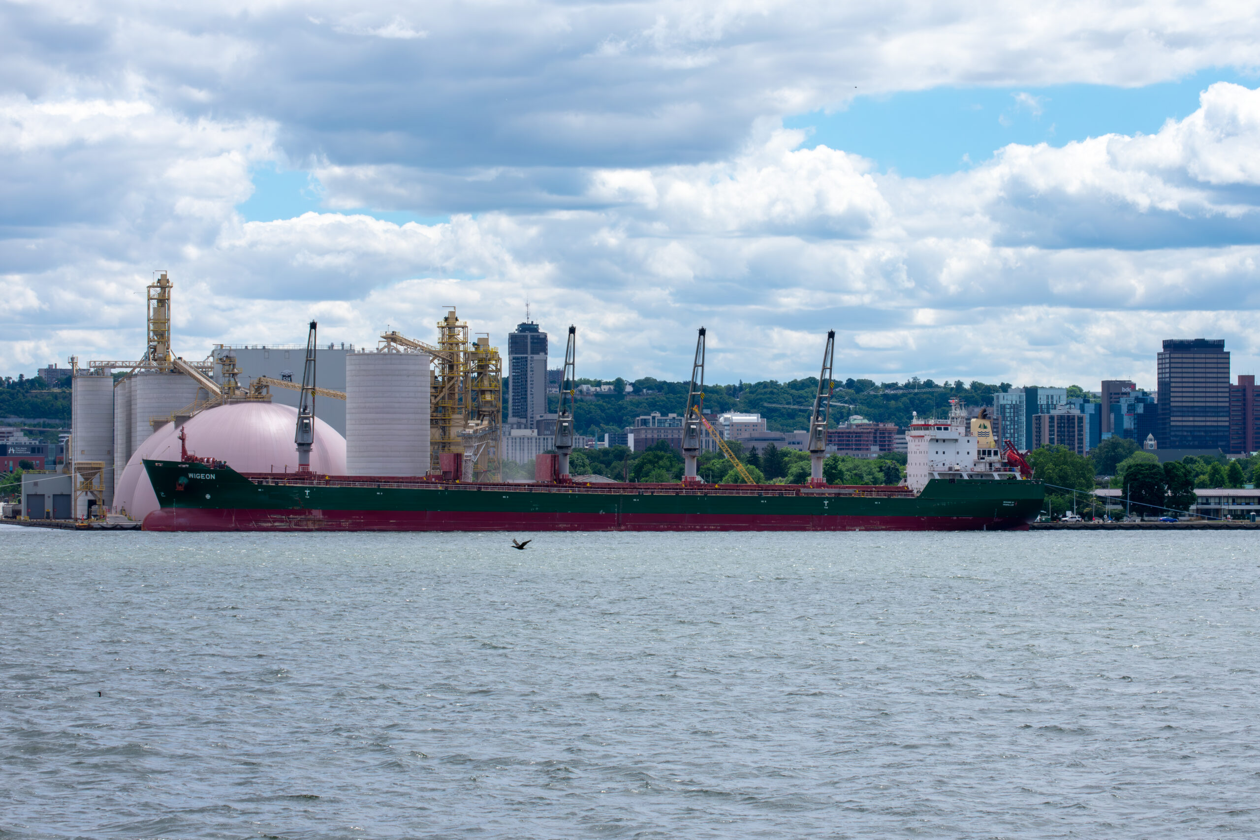 Hamilton-Oshawa Port Reports Record Revenue in 2024, Seeks CBSA Customs ...